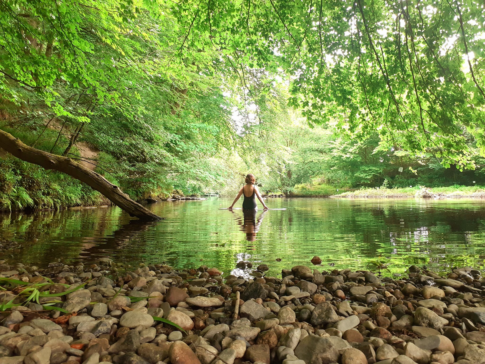 Balance - Outdoor swimming and the menopause